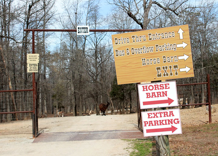 At Lazy 5 Ranch, exotic animals and egg hunts | Carolina News and Reporter