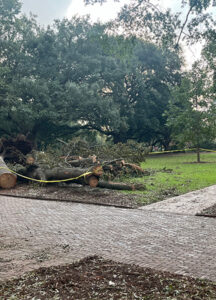 Downed trees, power lines Columbia’s main concerns after Helene ...