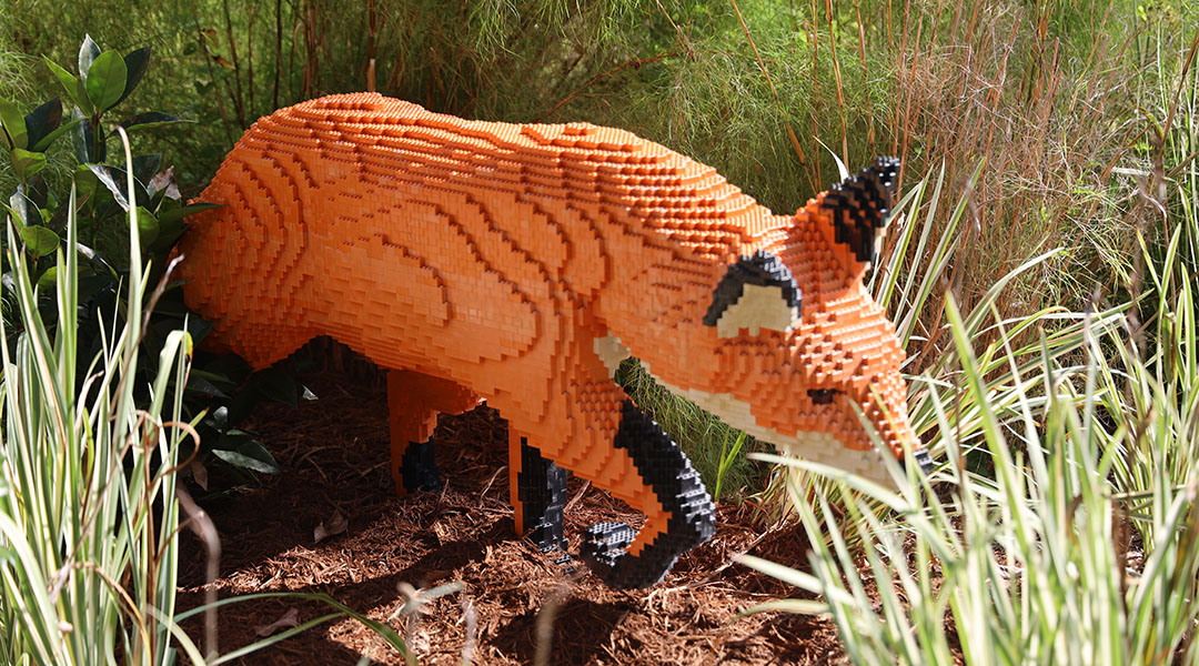 Nature Connects aims to bring greater understanding of natural world to ...